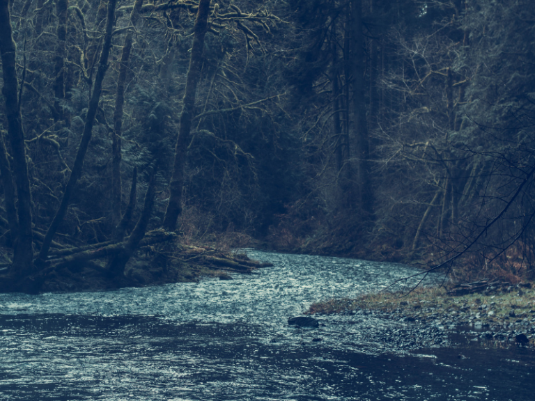 marco wenzel – Eigenverantwortung beim Vermögensaufbau